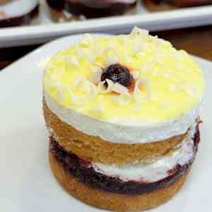 Stefano's Italian of Florence - Florence, SC Restaurant | Menu ...