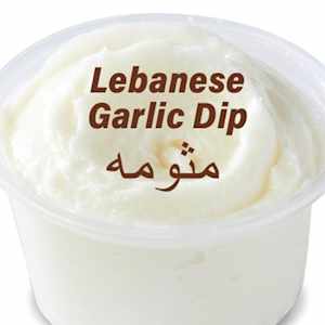 Holy Land Middle Eastern Restaurant & Deli Delivery Menu | Order Online ...
