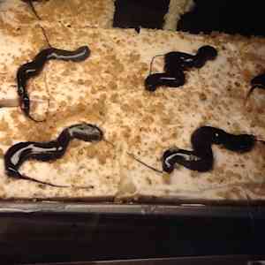 Sokolata - Charleston, WV Restaurant | Menu + Delivery | Seamless