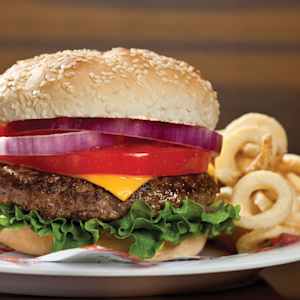 hooters bruce b downs