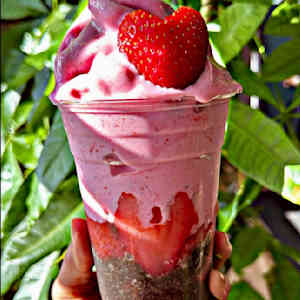 Cellf Juices - Springfield, MA Restaurant | Menu + Delivery | Seamless