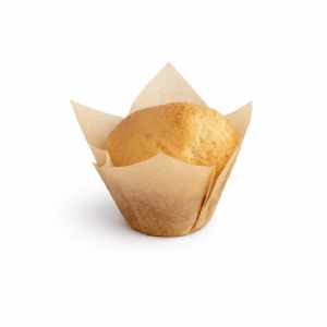 Fepo Cafe - New Haven, CT Restaurant | Menu + Delivery | Seamless