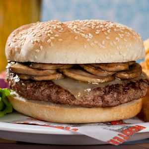 hooters bruce b downs