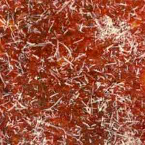 Gentili's Pizza & Steaks - Exton, PA Restaurant | Menu + Delivery ...