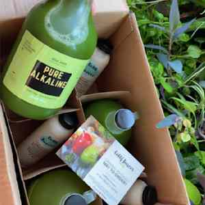 Cellf Juices - Springfield, MA Restaurant | Menu + Delivery | Seamless