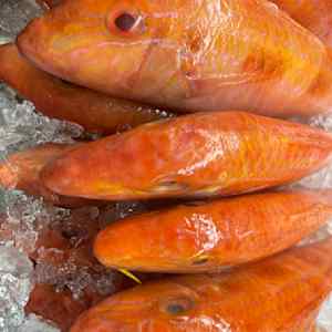 Hamido Seafood - Astoria, NY Restaurant | Menu + Delivery | Seamless