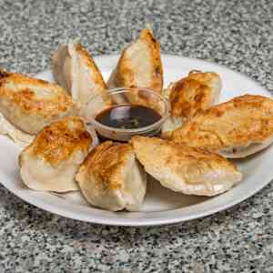 New Ho Toy Chinese Restaurant Delivery Menu | Order Online | 746 Dudley ...