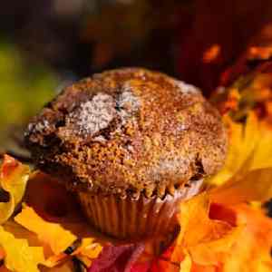 Muffin House Cafe (Walpole) - Walpole, MA Restaurant | Menu + Delivery ...