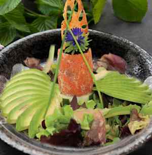 Hane Sushi Delivery Menu | Order Online | 346 1st Ave New York | Grubhub
