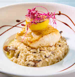 Skinos Mediterranean Cuisine - New York, NY Restaurant | Menu ...