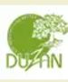 Duzan - Astoria, NY Restaurant | Menu + Delivery | Seamless