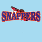 Snappers Fish & Chicken Delivery Menu | Order Online | 600 NW 3rd St ...