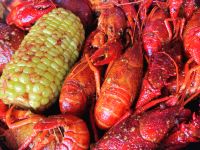 Baltimore Seafood Delivery - 2324 Boston St Baltimore | Order Online ...